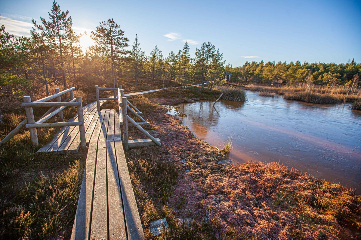 Boardwalk to sulphur ponds - Official Tourism site