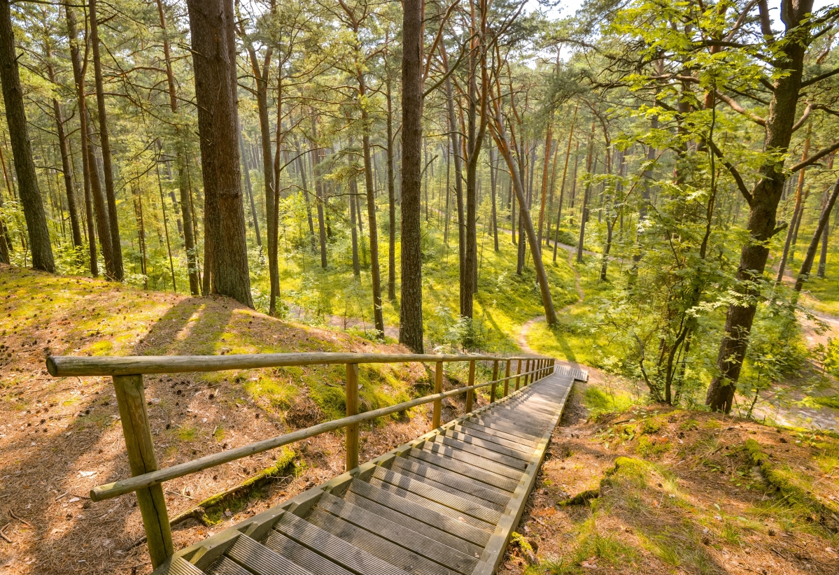Ragakāpas dabas parks - Viss par tūrismu Jūrmalā