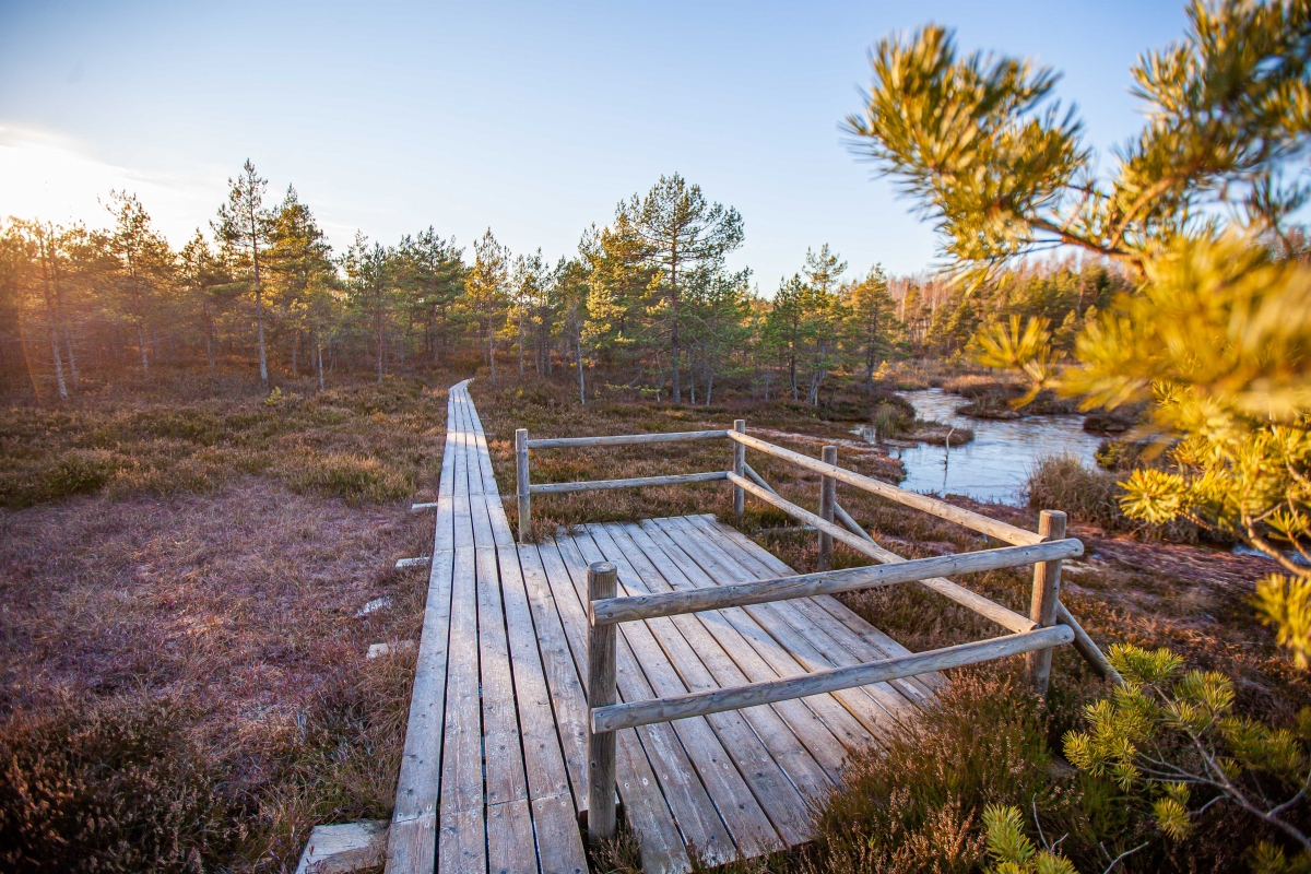 Boardwalk to sulphur ponds - Official Tourism site